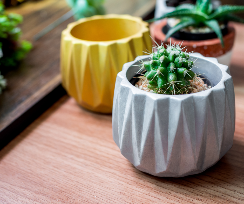 How to Make a DIY Mini Succulent Planter – I Chug My Wine